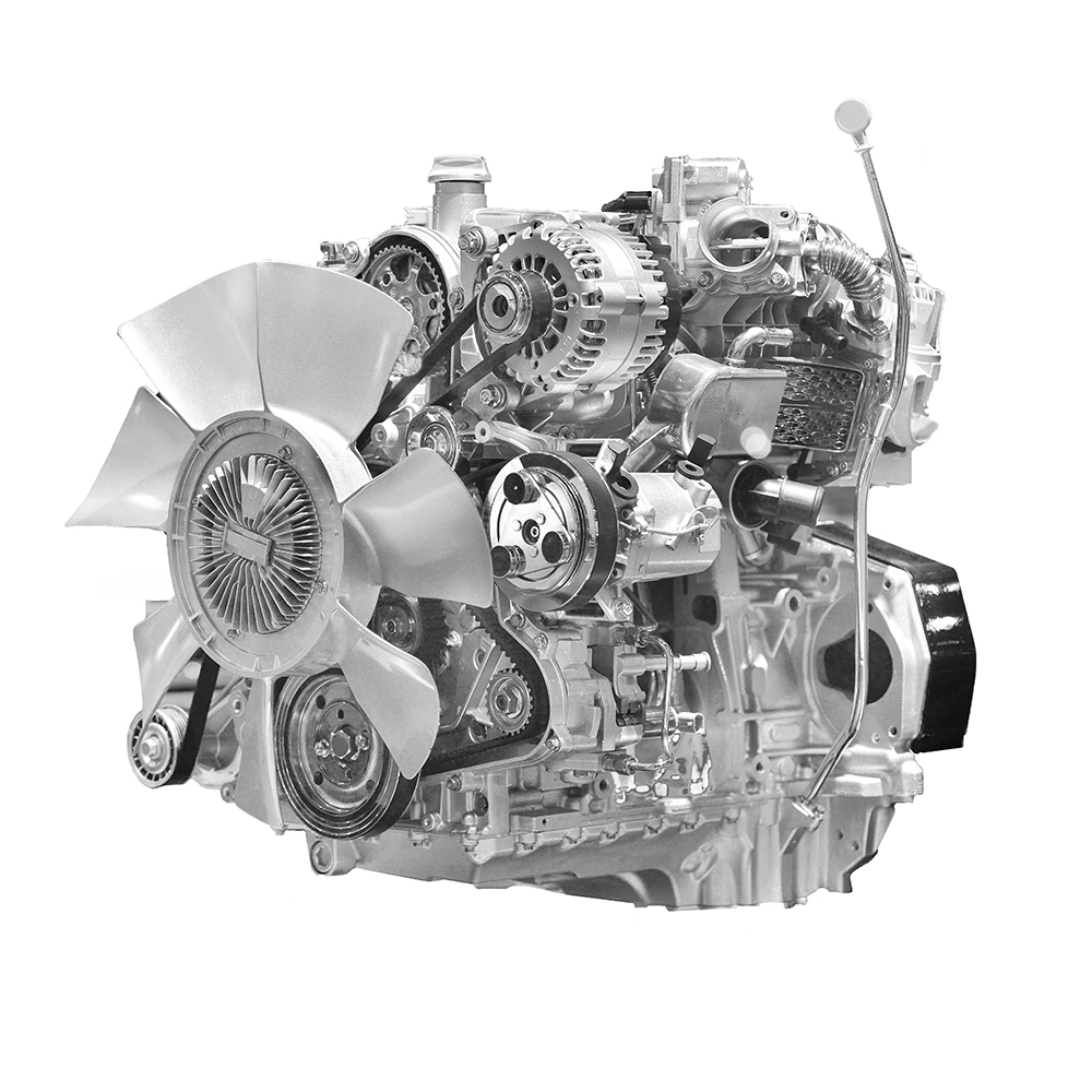 Cap – MP